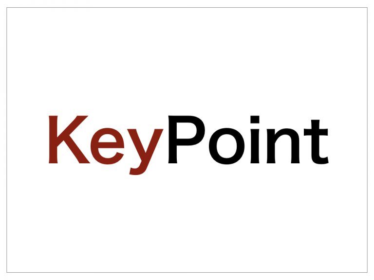 keypoint_icon.001 | ウィンサイトのWebサイト